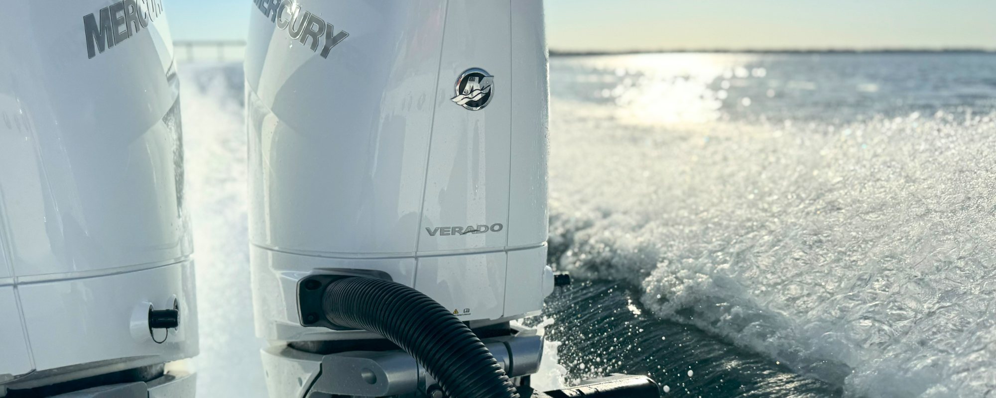 Seamule's Flushmaster - Automated Outboard Flushing